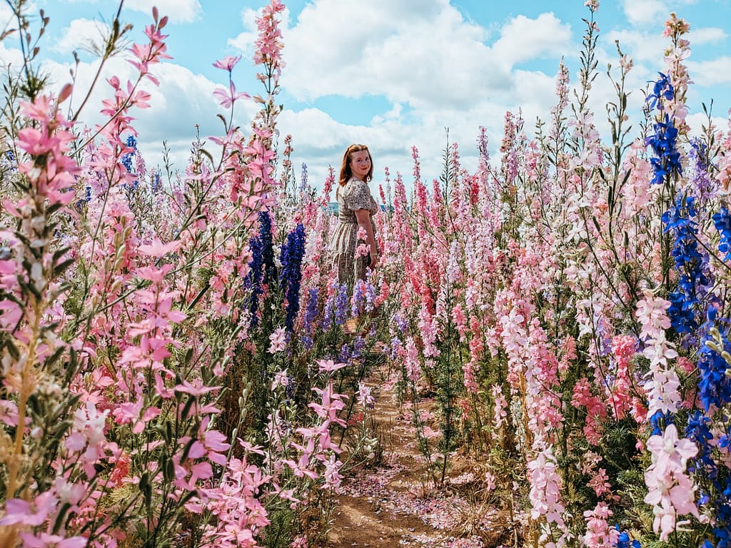 The Confetti Flower Field: Everything You Need To Know Before You Visit