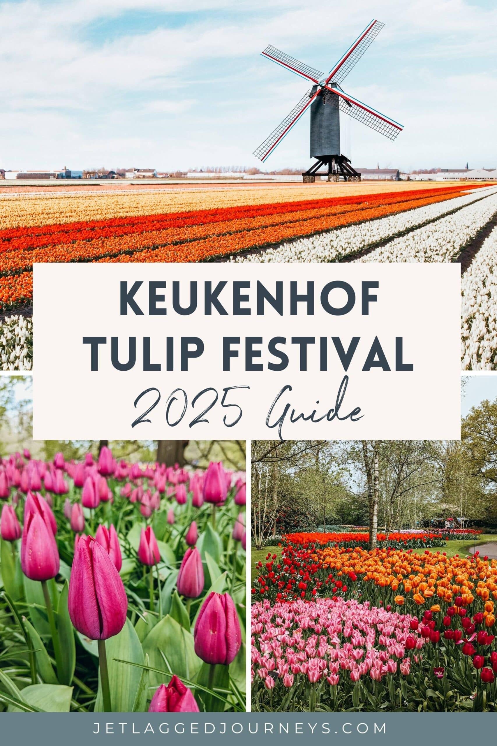 Keukenhof Tulip Festival 2025 Guide - Jetlagged Journeys