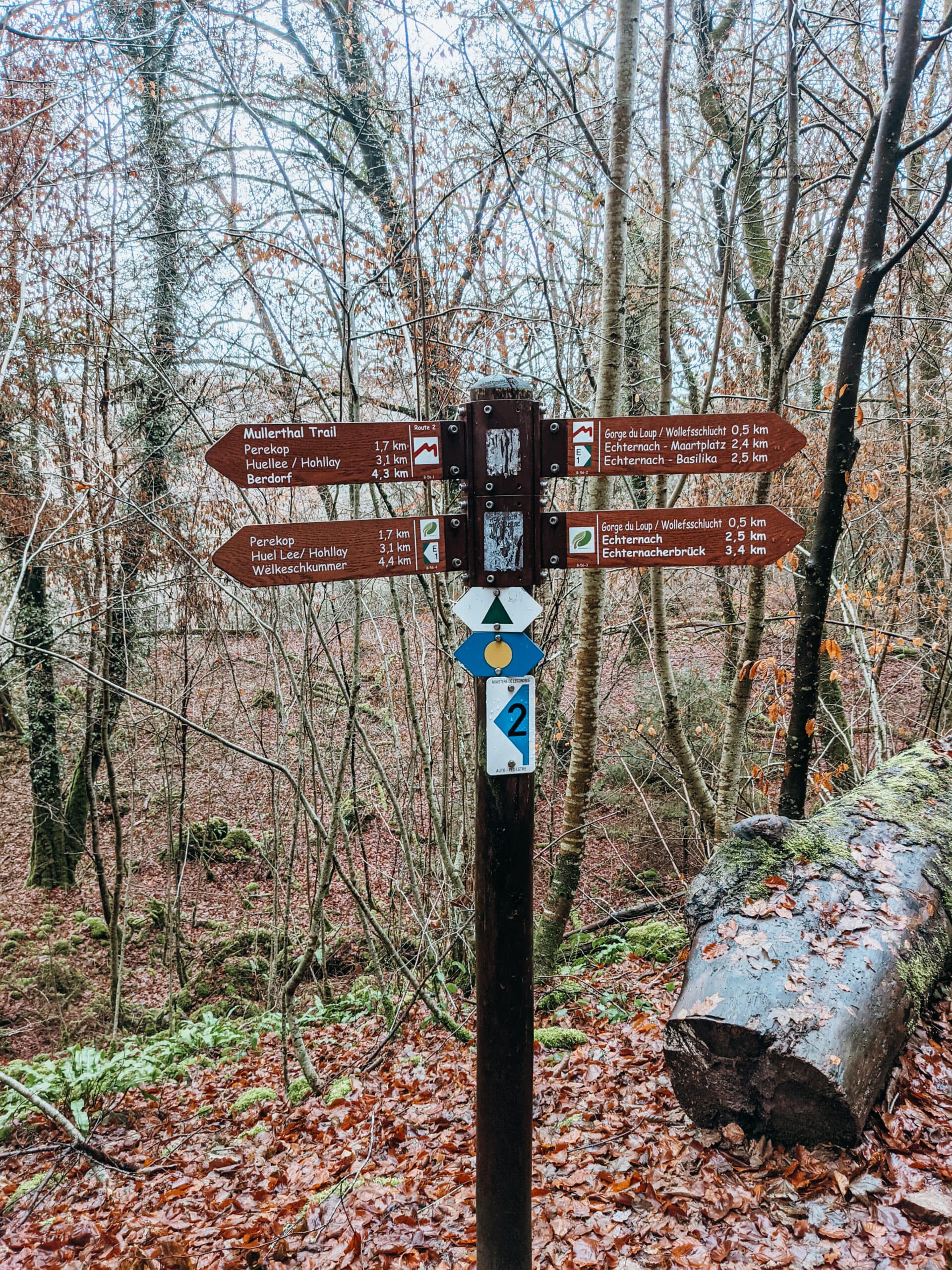 Ultimate Guide to the Mullerthal Trail in Luxembourg - Jetlagged Journeys