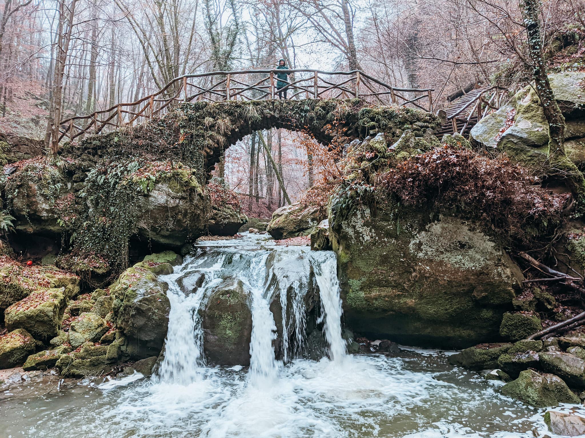 Ultimate Guide to the Mullerthal Trail in Luxembourg - Jetlagged Journeys
