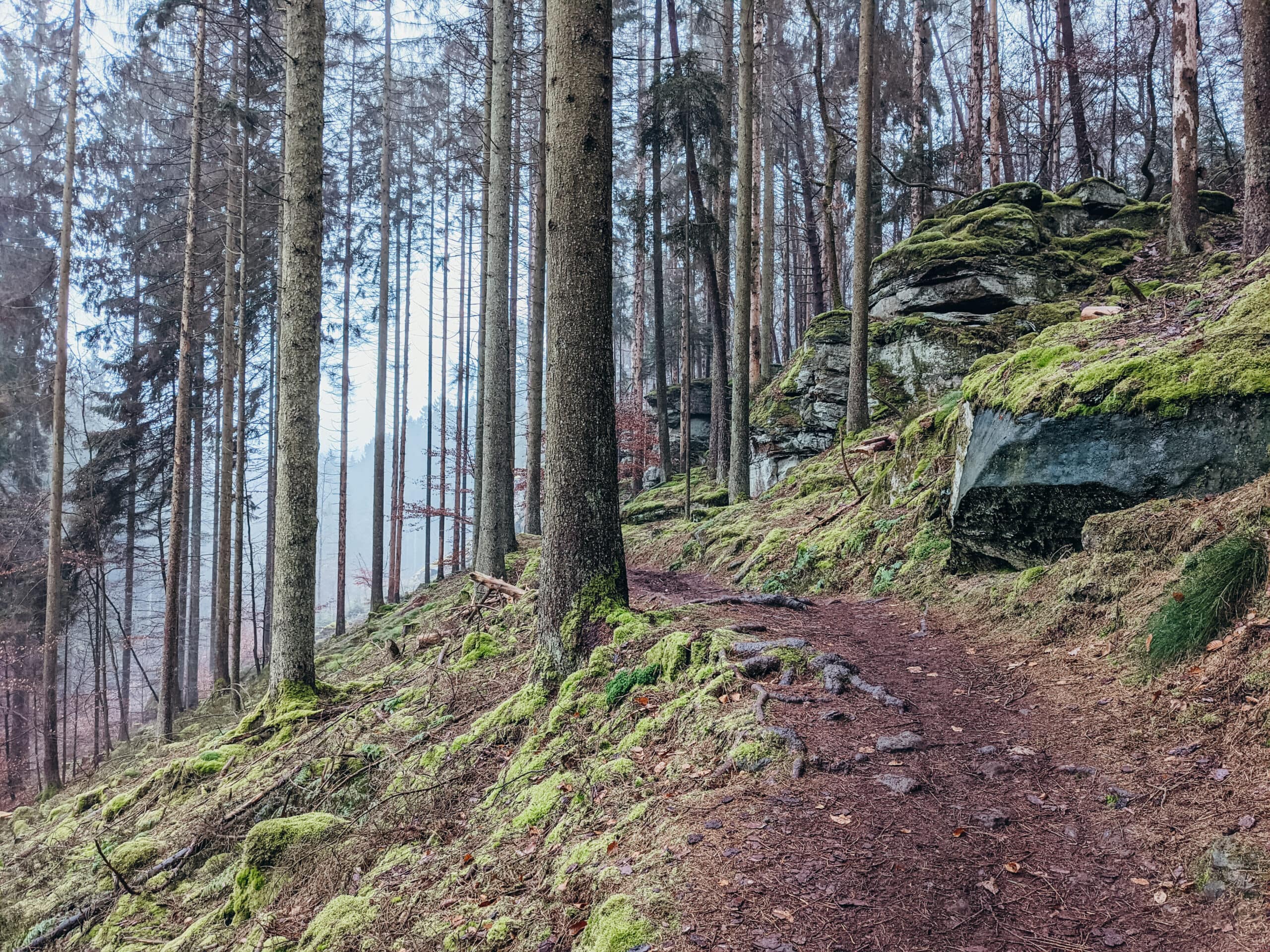 Ultimate Guide to the Mullerthal Trail in Luxembourg - Jetlagged Journeys