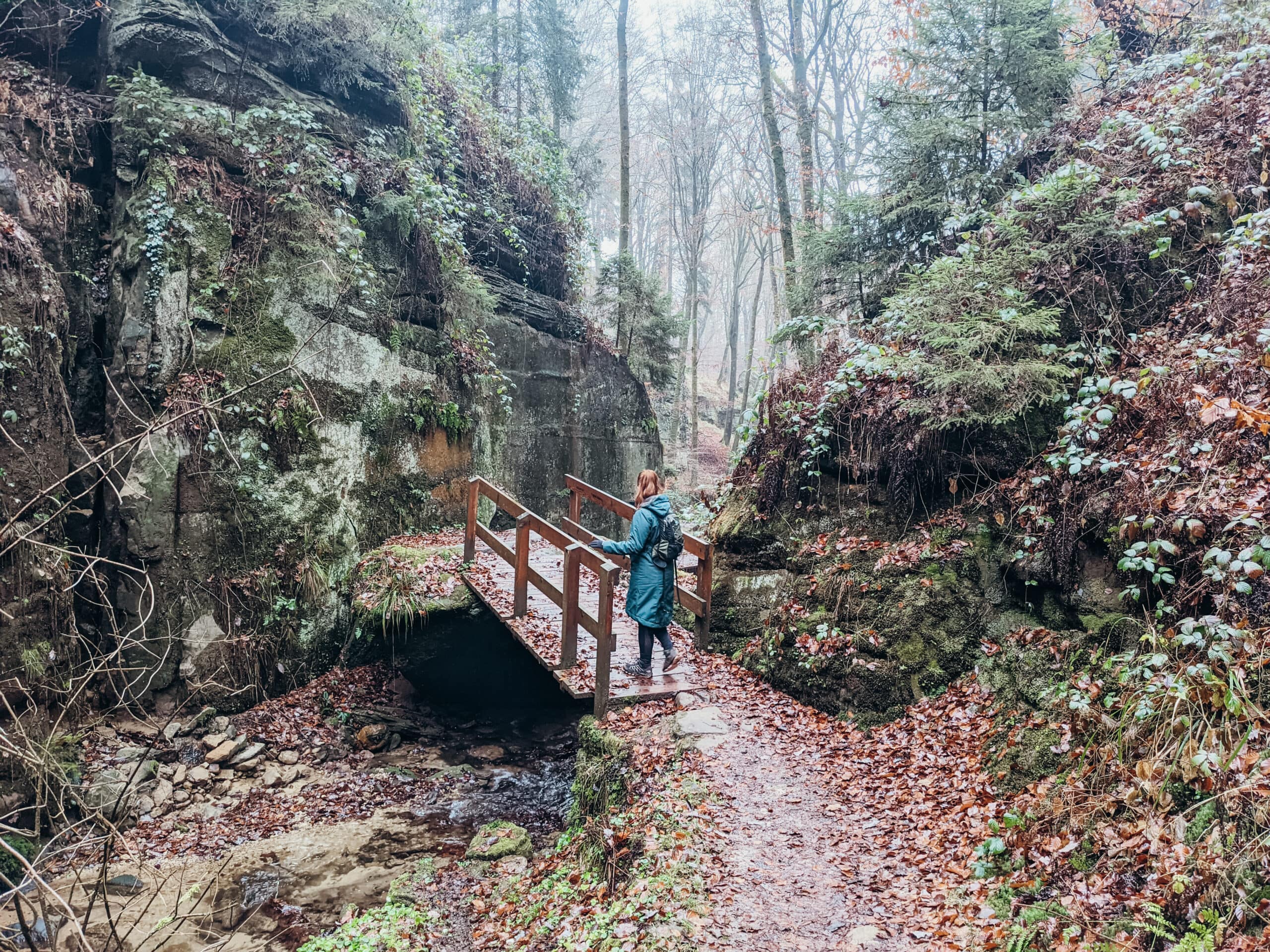 Ultimate Guide to the Mullerthal Trail in Luxembourg - Jetlagged Journeys