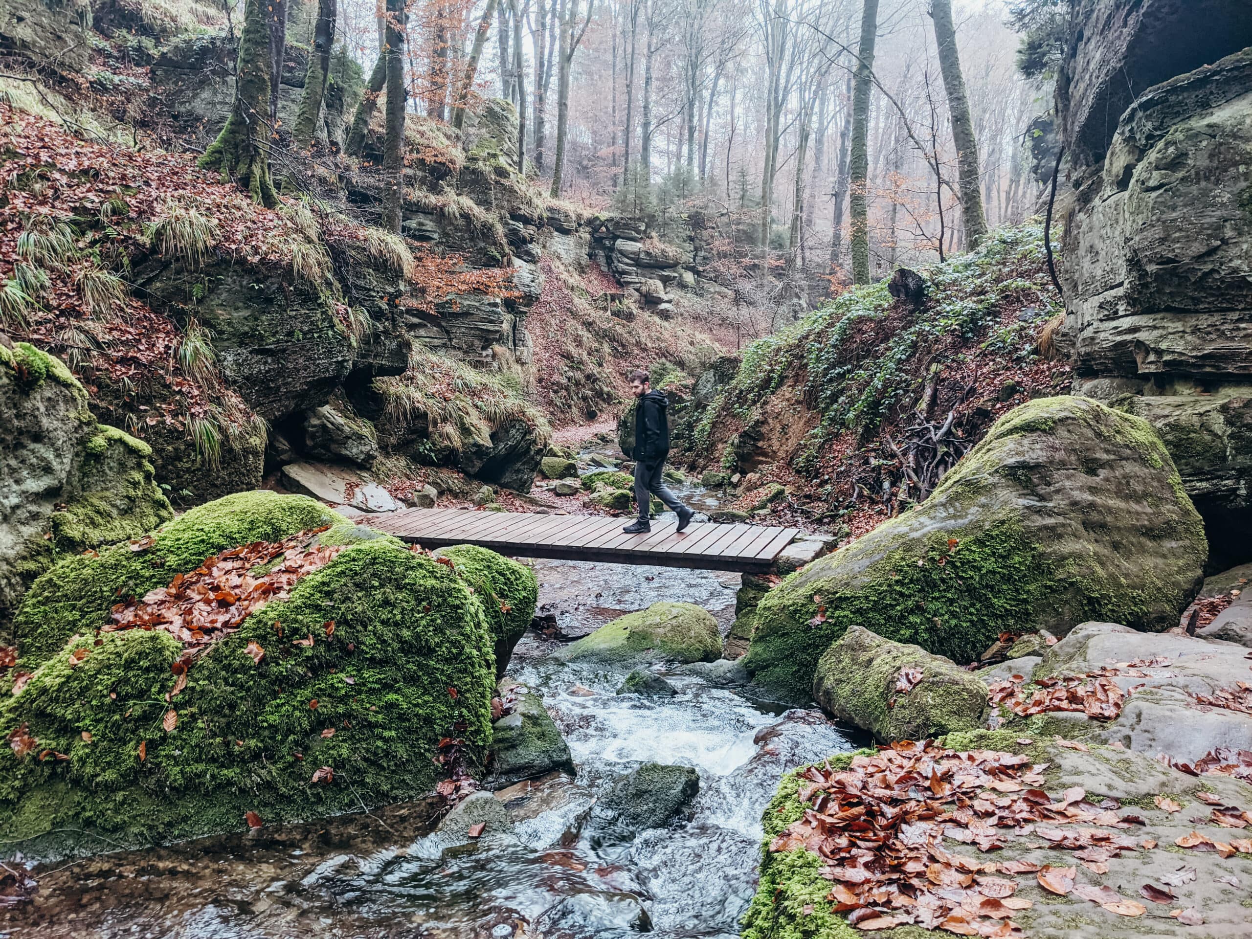Ultimate Guide to the Mullerthal Trail in Luxembourg - Jetlagged Journeys