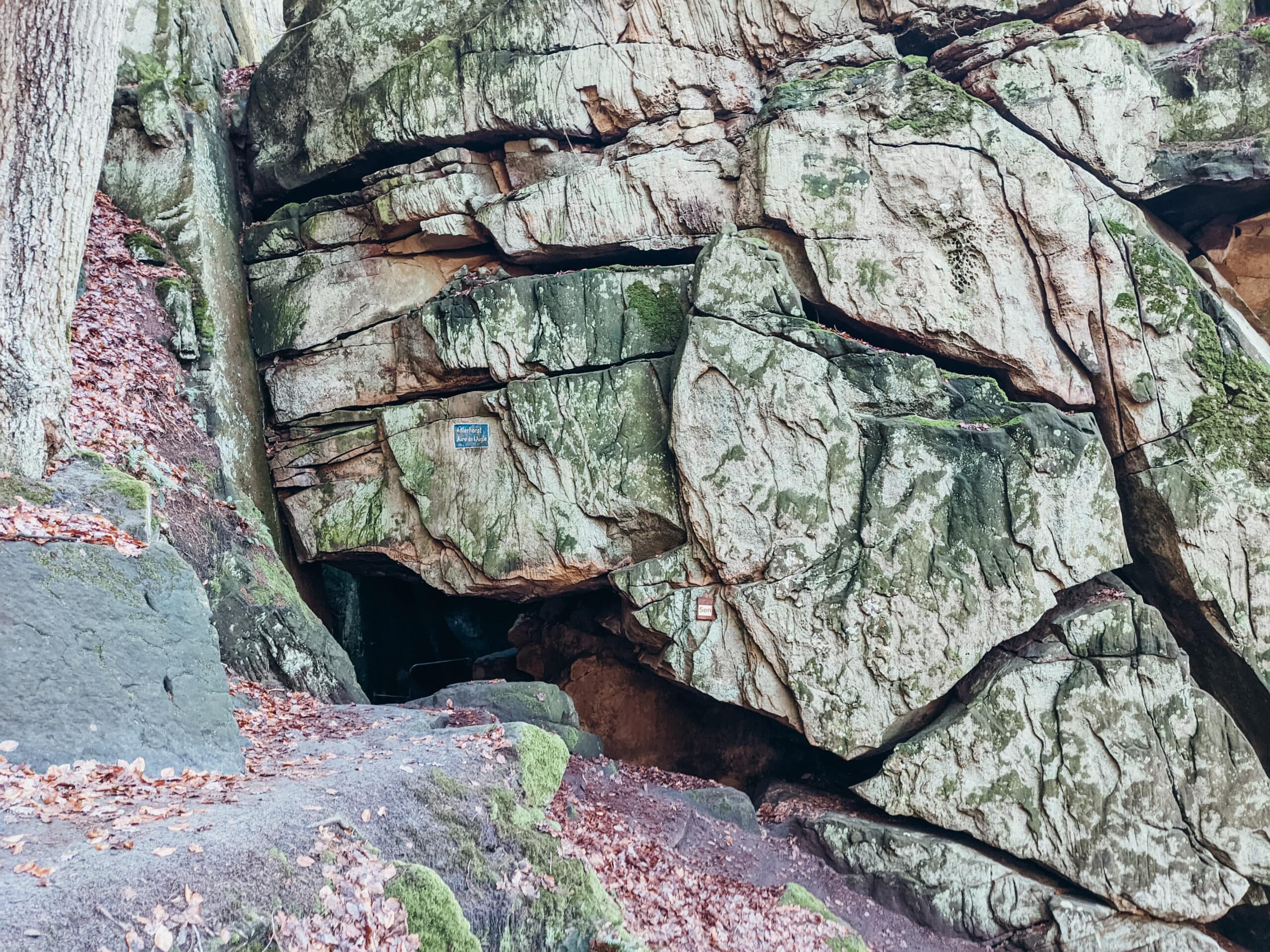 Ultimate Guide to the Mullerthal Trail in Luxembourg - Jetlagged Journeys