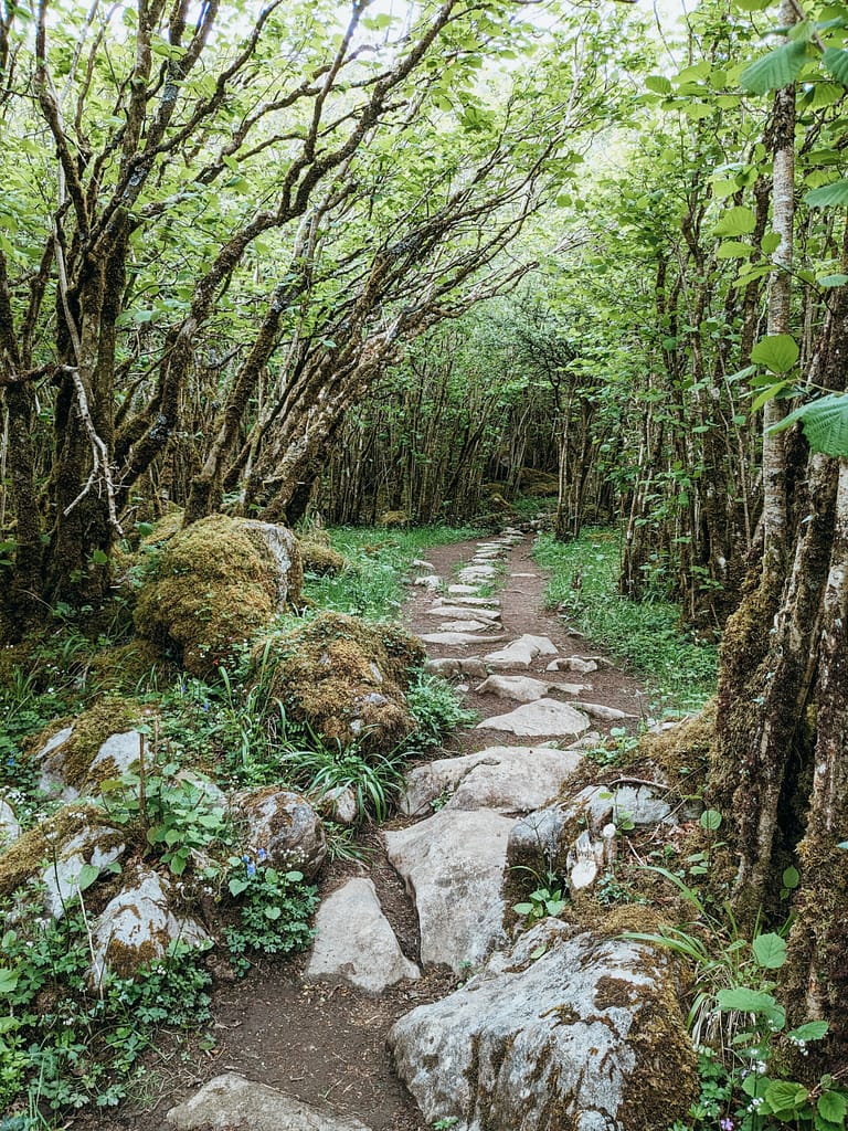 Best Burren Walks: Lough Avalla Farm Loop - Jetlagged Journeys